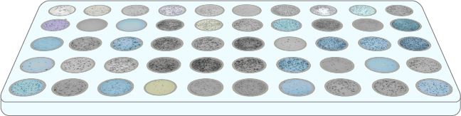 世翔國際有限公司