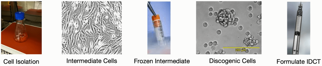 狂賀！DiscGenics 購入 Ovizio qMod 用於細胞治療產品製程 - 世翔國際有限公司