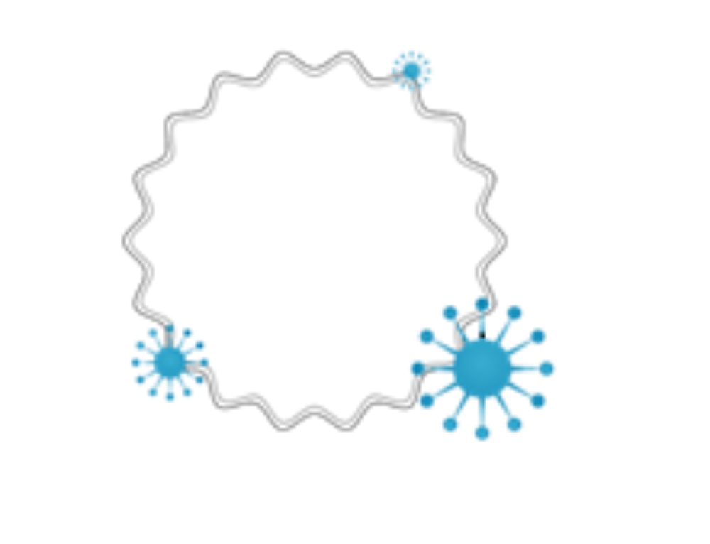 分析記憶型B細胞，該如何刺激細胞引起免疫反應？ - 世翔國際有限公司